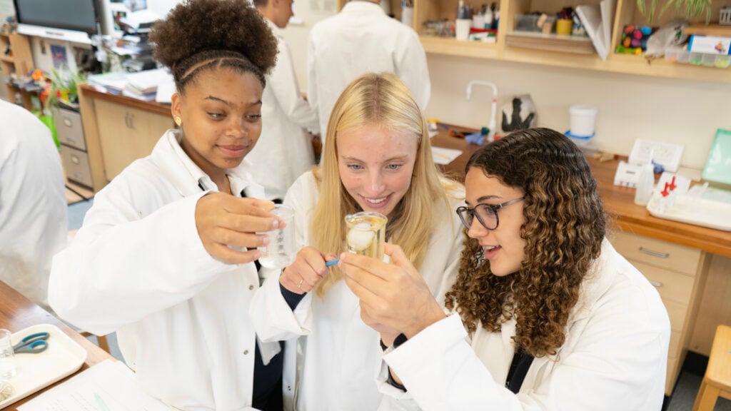 TASIS The American School in England – Discover More