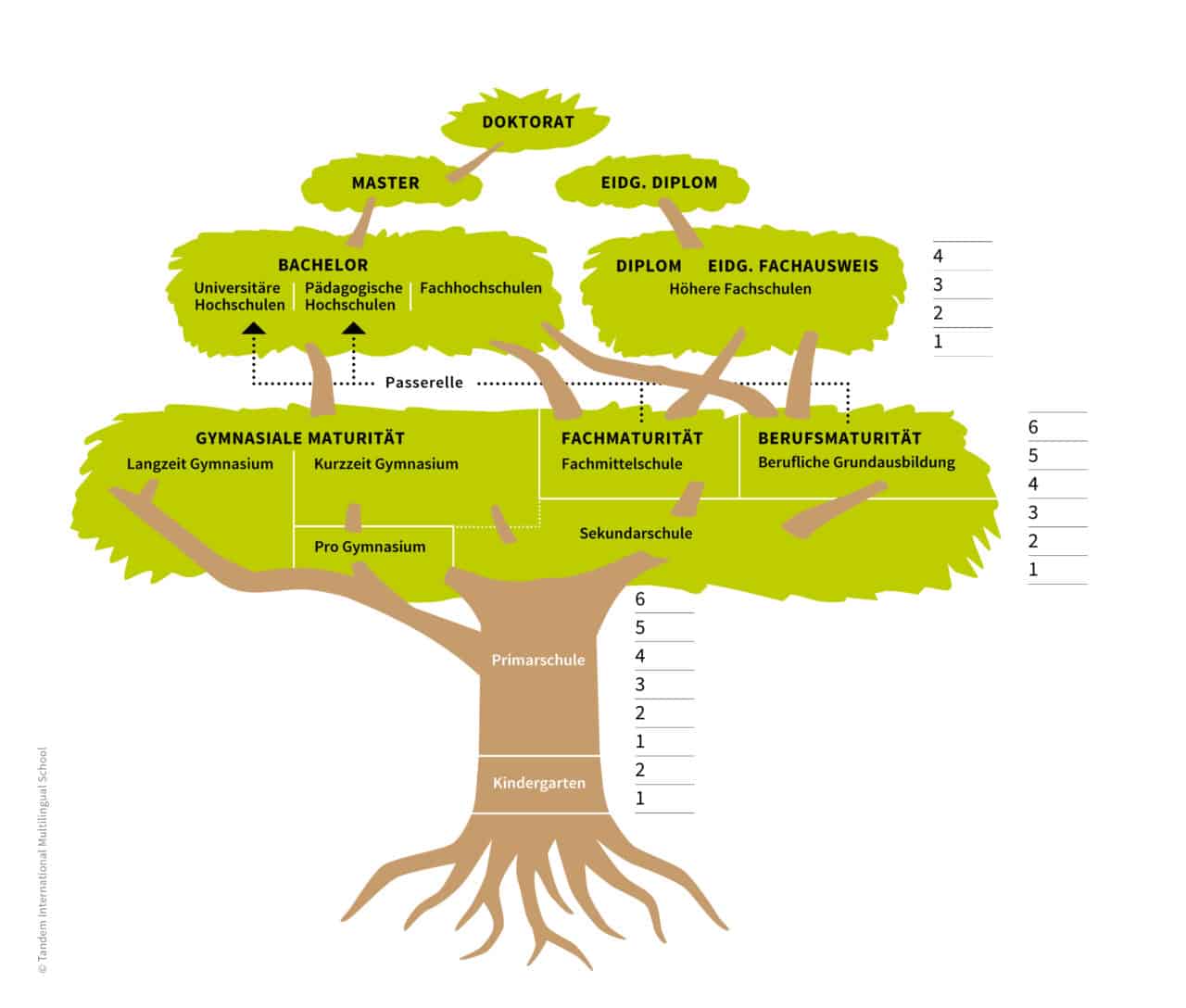 Tandem IMS - Helping International and Swiss families to navigate the ...