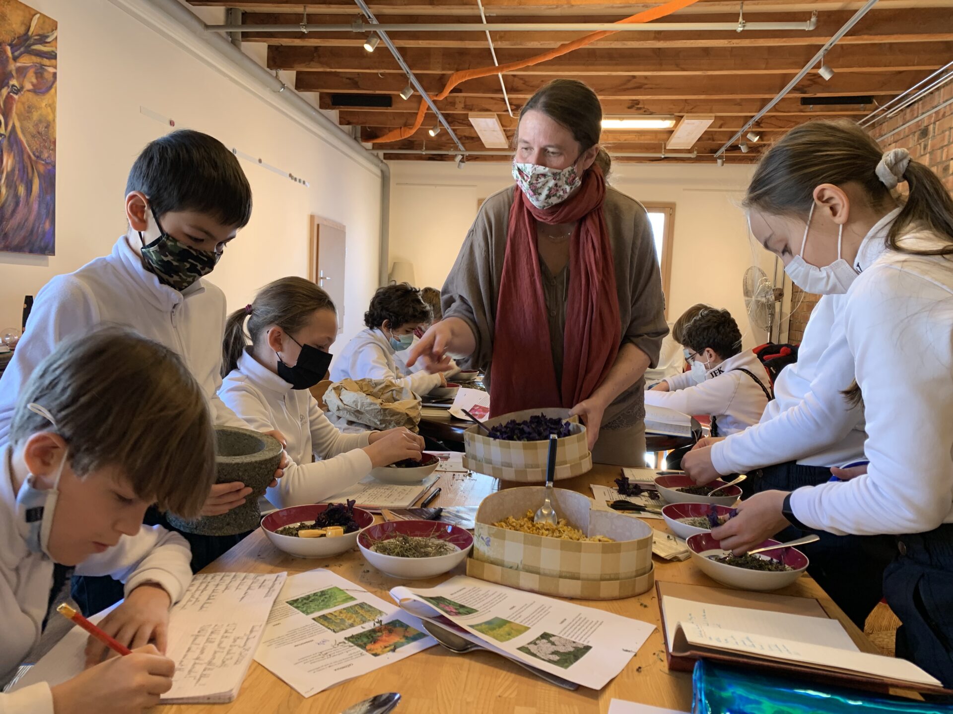Classrooms without walls, outdoor education: changing the landscape of ...