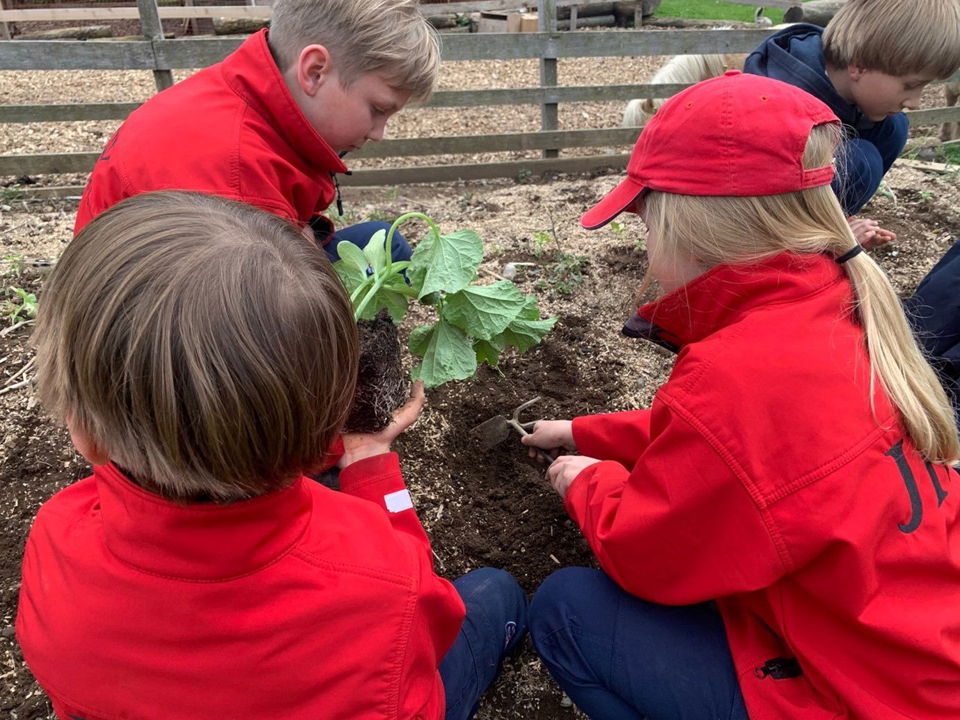 Improving learning around the world for over 30 years - International ...