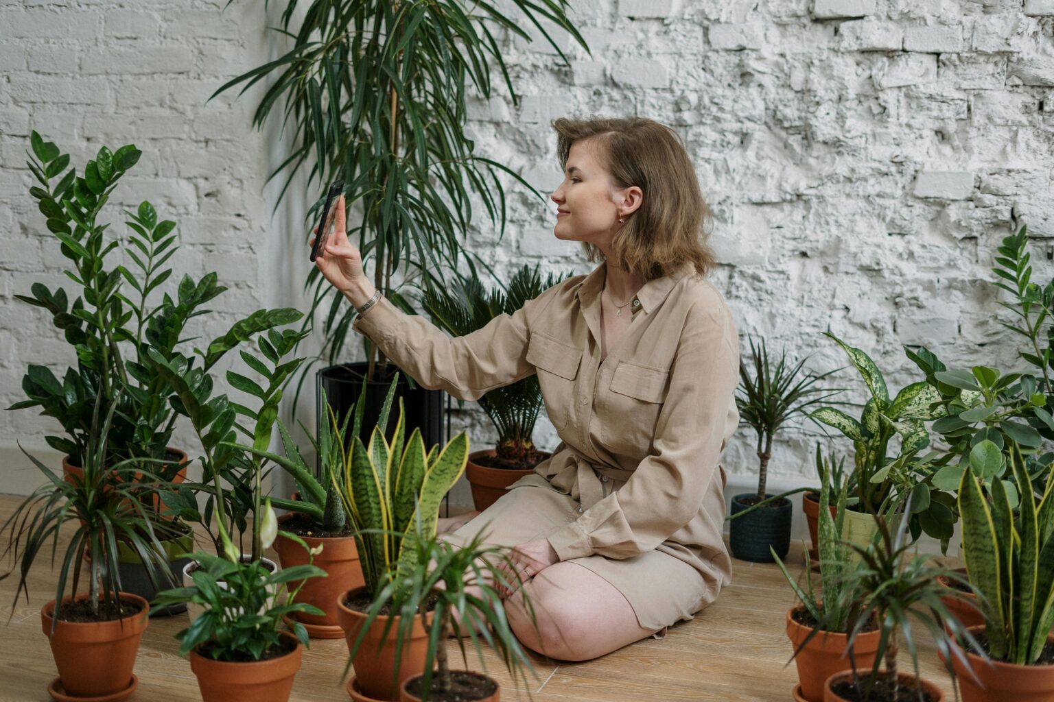 How Plants Can Improve Your Everyday Wellbeing